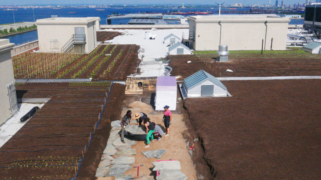 New York City’s largest rooftop farm sprouts up in Brooklyn - The ...