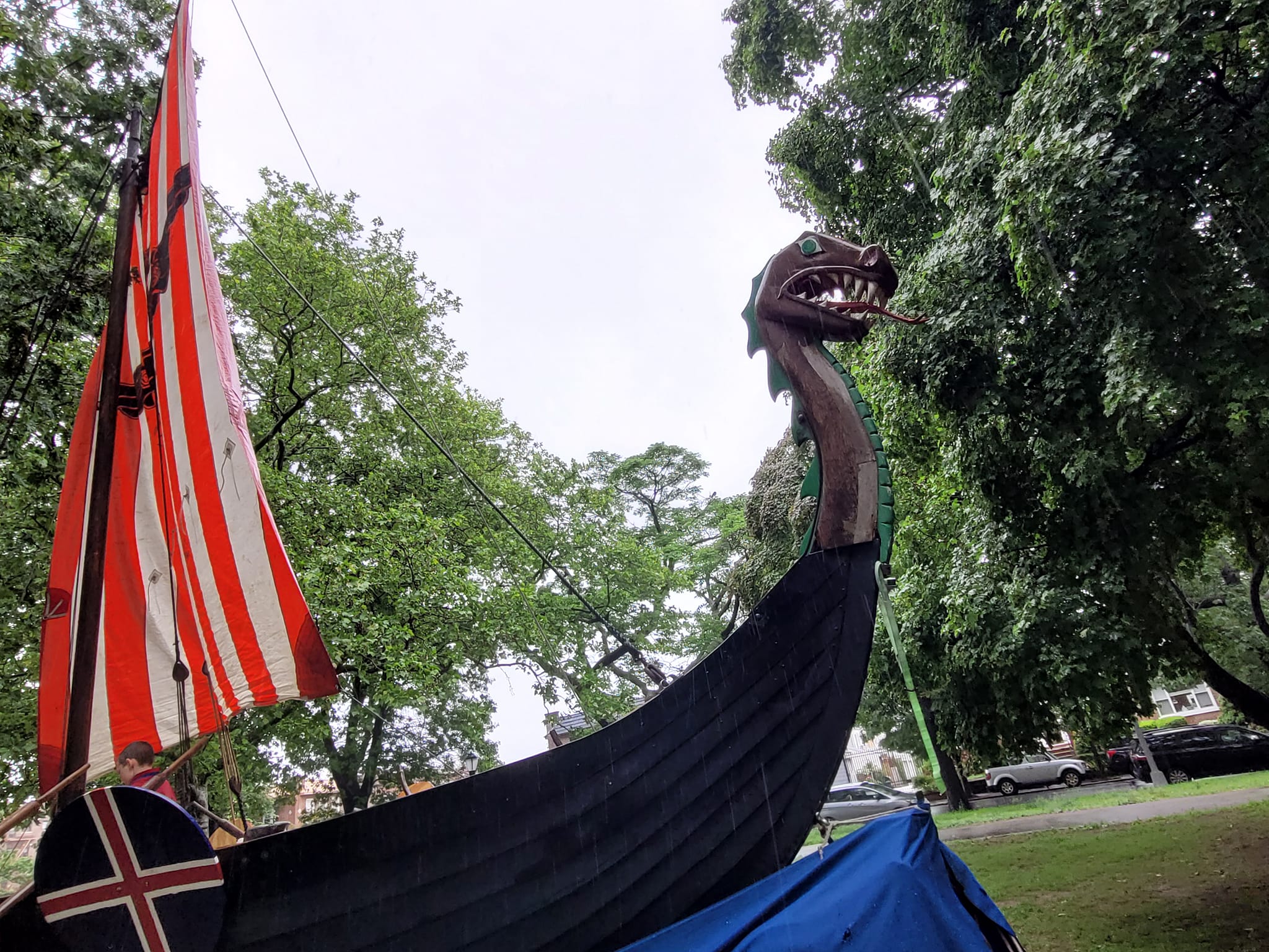 Vikings don’t mind singin’ in the rain - The Brooklyn Home Reporter