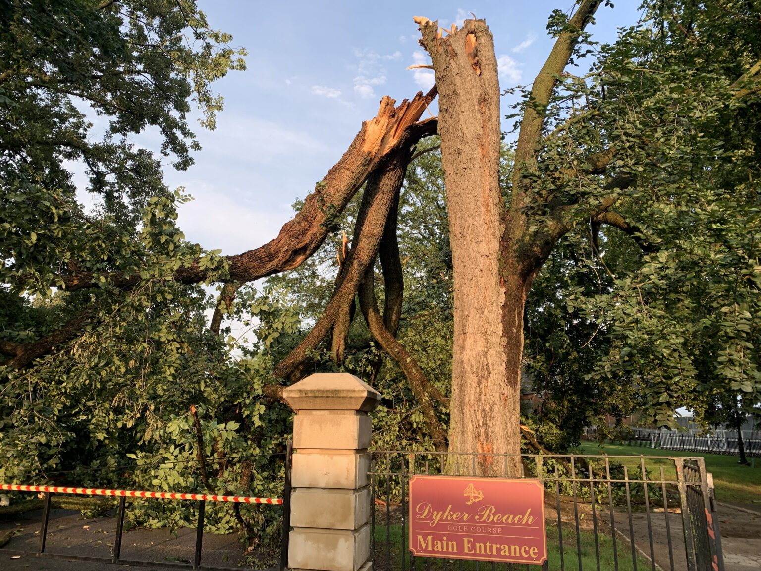 Wild storm downs 50 borough trees - The Brooklyn Home Reporter