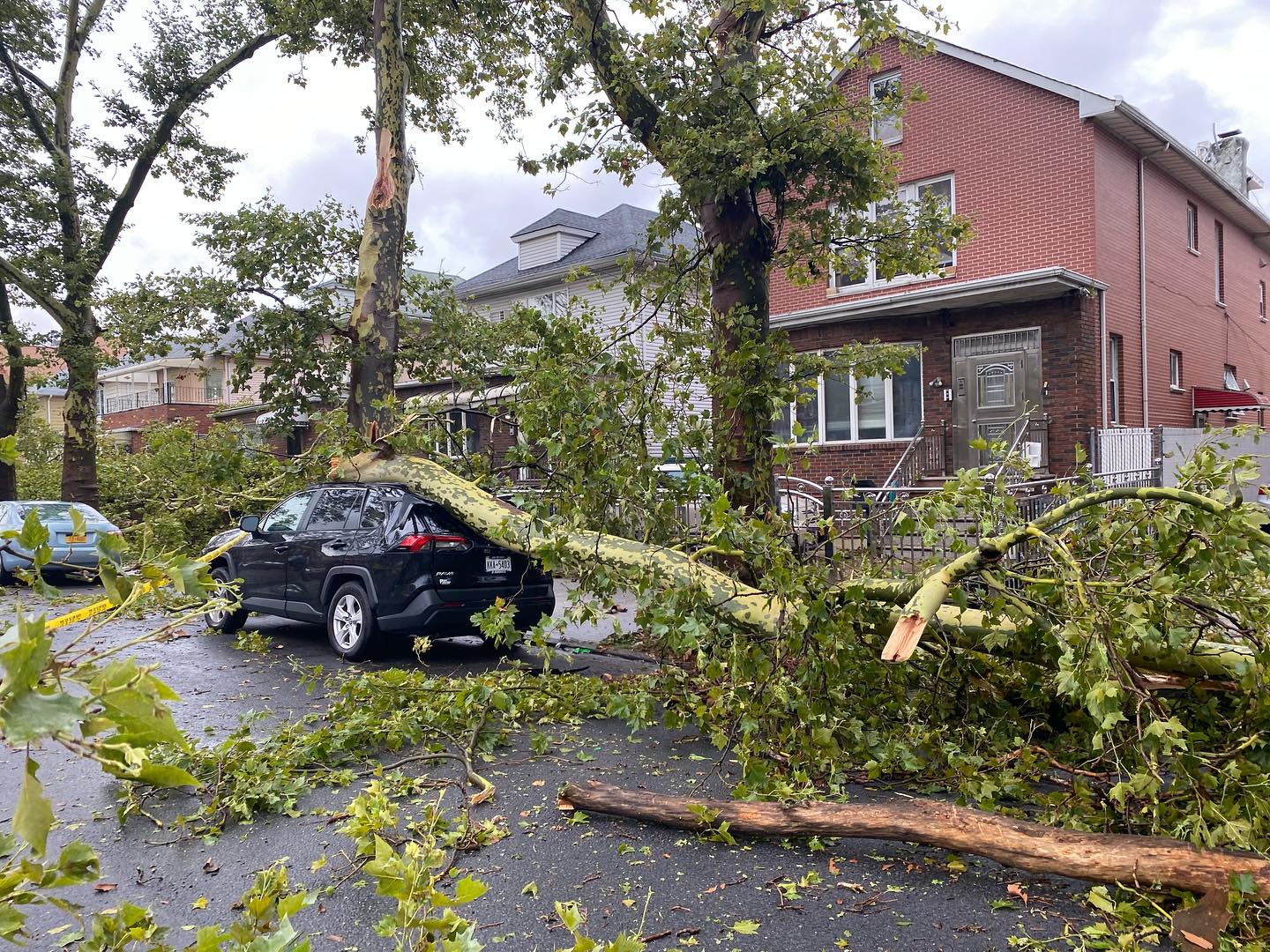 Wild storm downs 50 borough trees - The Brooklyn Home Reporter