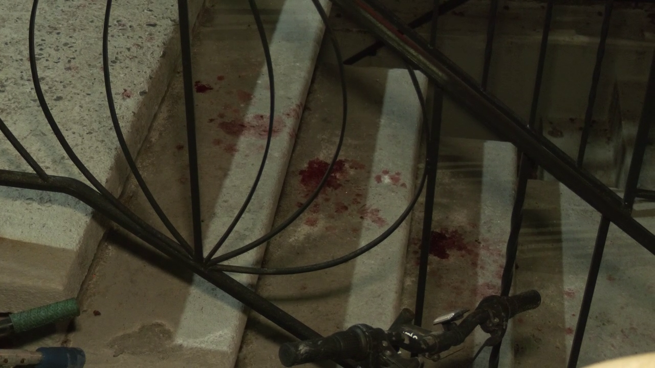 Son charged with killing parents - The Brooklyn Home Reporter