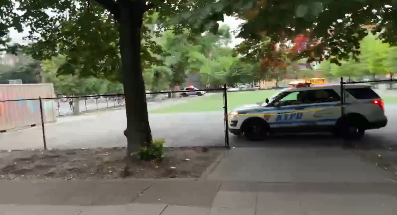 Man stabbed at Seth Low Playground in broad daylight - The Brooklyn ...