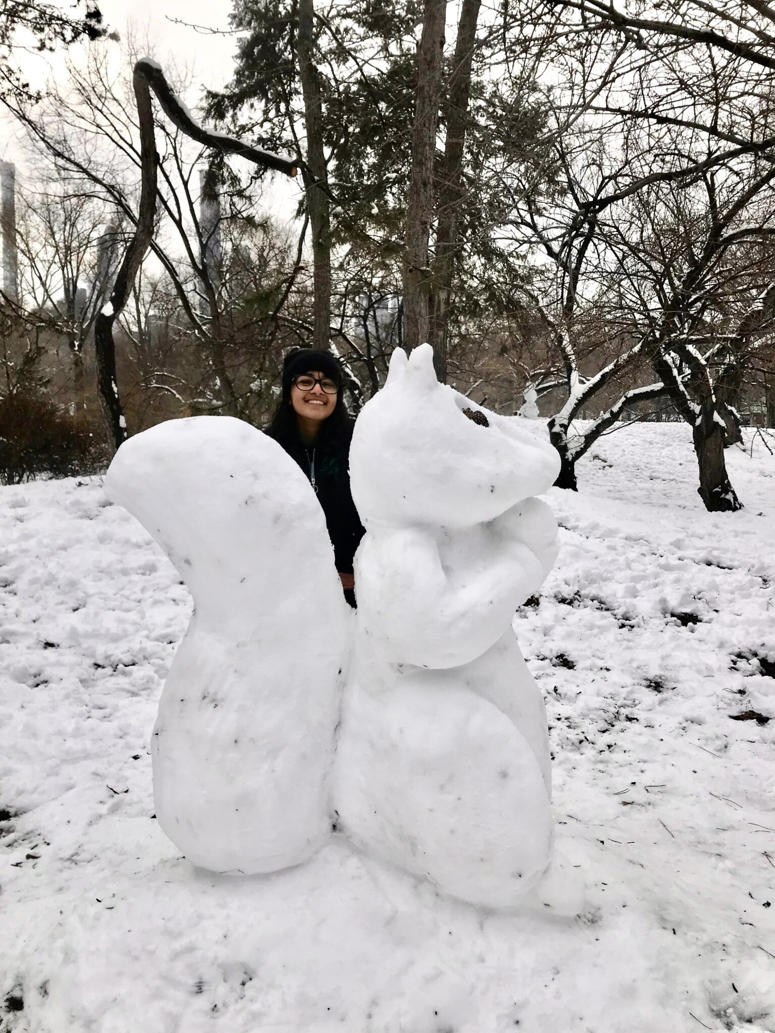 Artist creates snow art at Shore Road Park - The Brooklyn Home Reporter